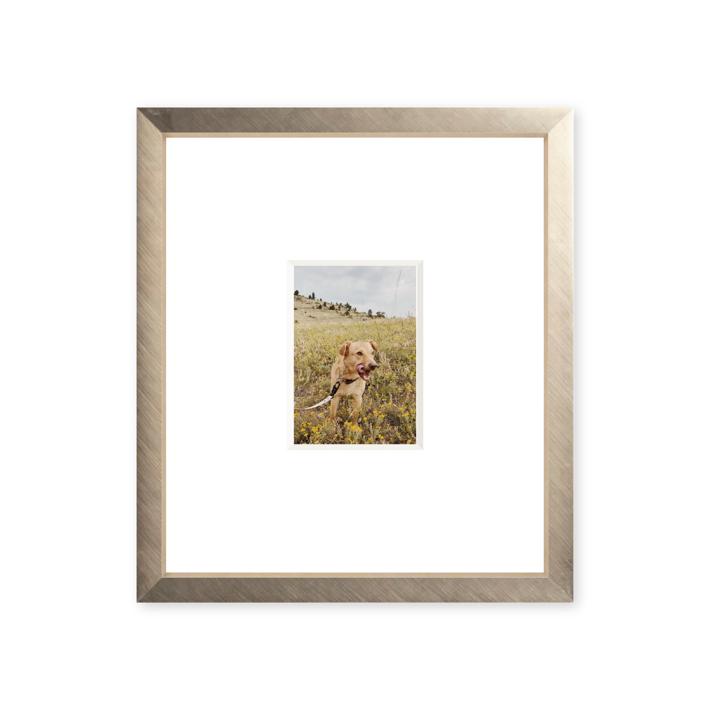 The Modern 14" x 16" Gift (Portrait) – Simply Framed